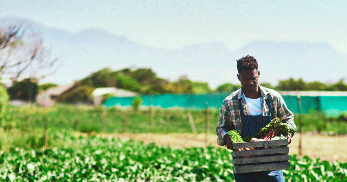 Master of Science (MSc) in Environment and Development - Study ...