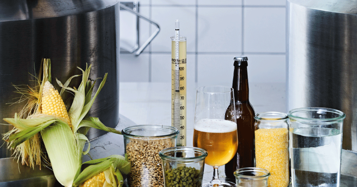 Master of Science (MSc) in Food Innovation and Health - Study ...