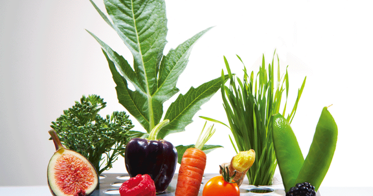 Food Science and Technology - Study Programmes on University of Copenhagen